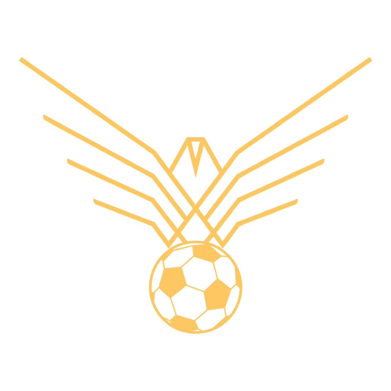 Falcon Academy League | Register for 2024/25 Season | Falcon Sports